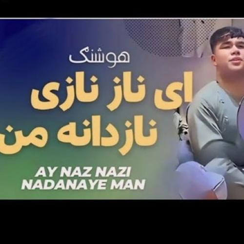 دانلود آهنگ آی ناز نازی نازدانه من از هوشنگ جان کیفیت 320 - سانگستان